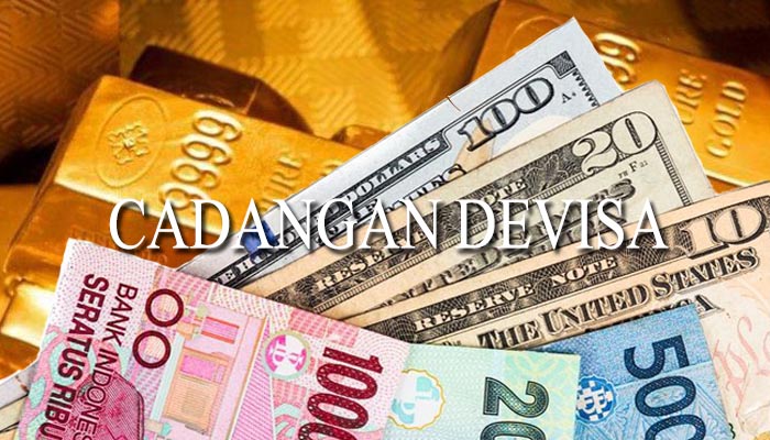 Cadangan Devisa : Pengertian, Fungsi, Tujuan, Bentuk, Sistem dan Rumus Menghitung Cadangan Devisa